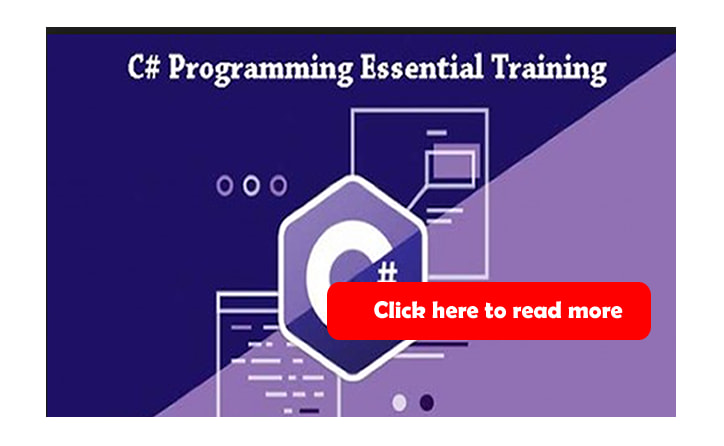 c# Programming Training in Abuja Nigeria --Practical