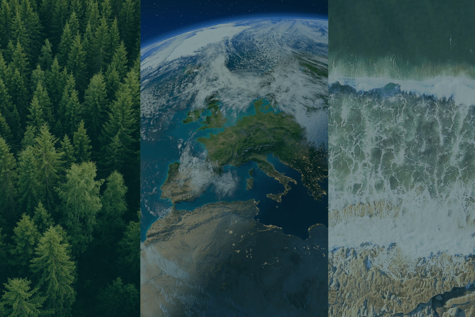 Climate Capital At COP: Using AI to Achieve Net-Zero