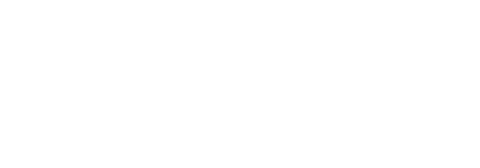 TFA NV 20th Anniversary Gala