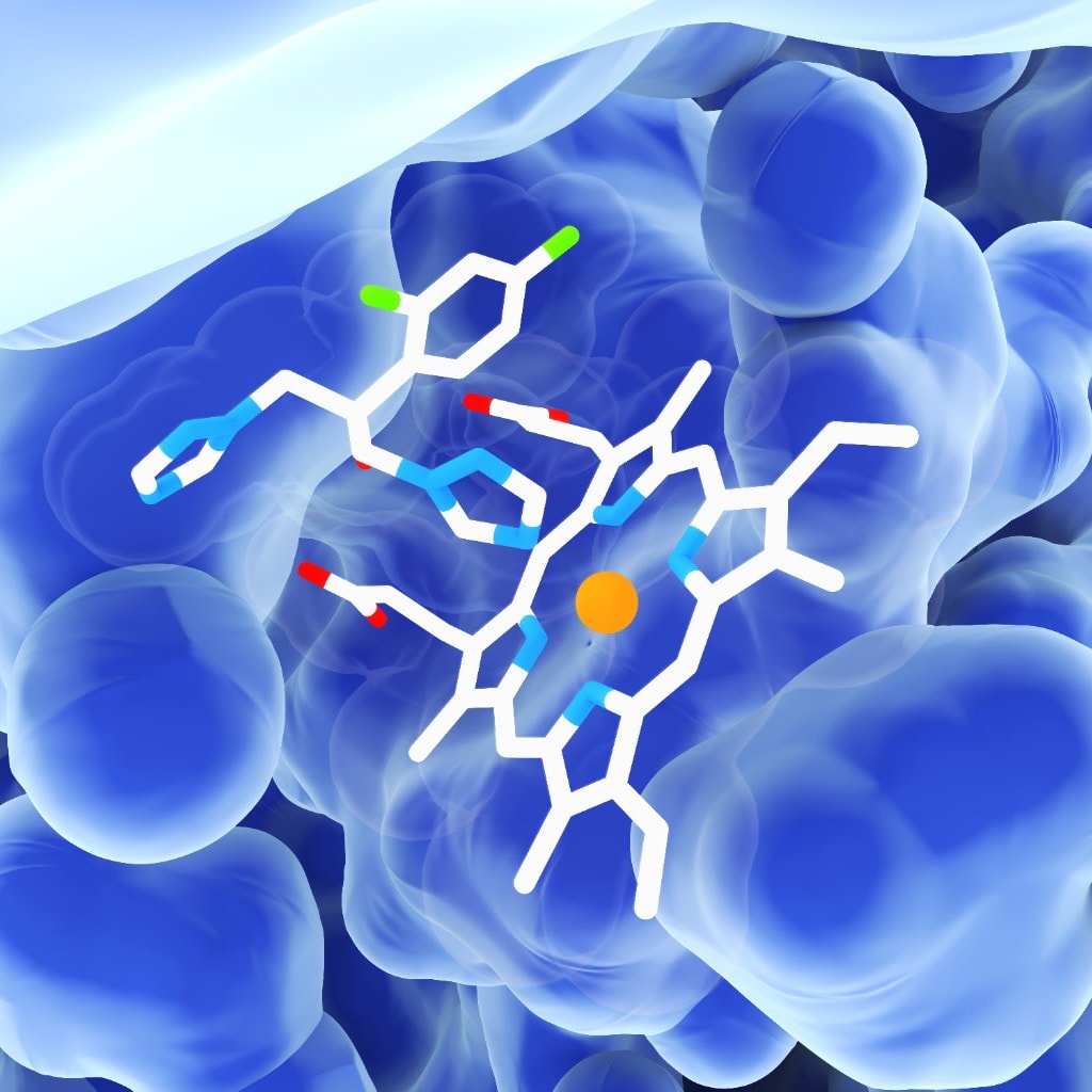 Interaction analysis masterclass: From hit identification to orthogonal ...