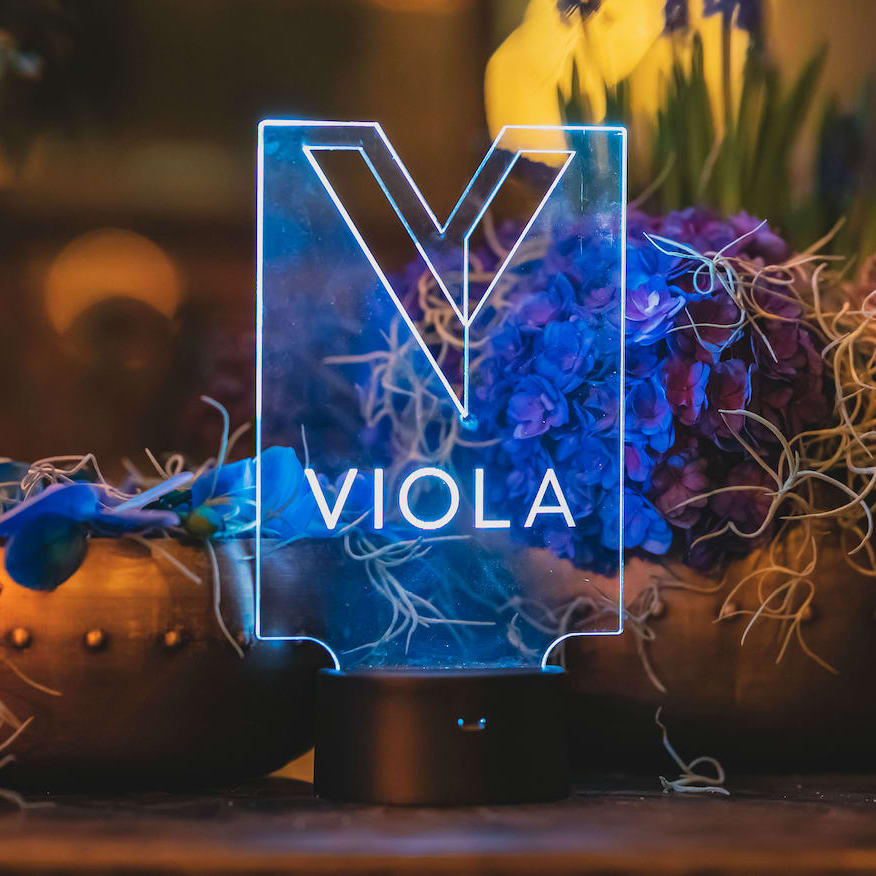 VIOLA VENTURES ANNUAL LP MEETING 2025