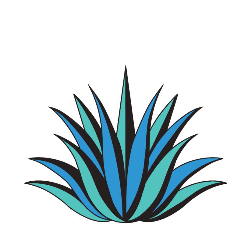 Members | 2025 HIP-NAP Joint Conference: Transforming Philanthropy Together