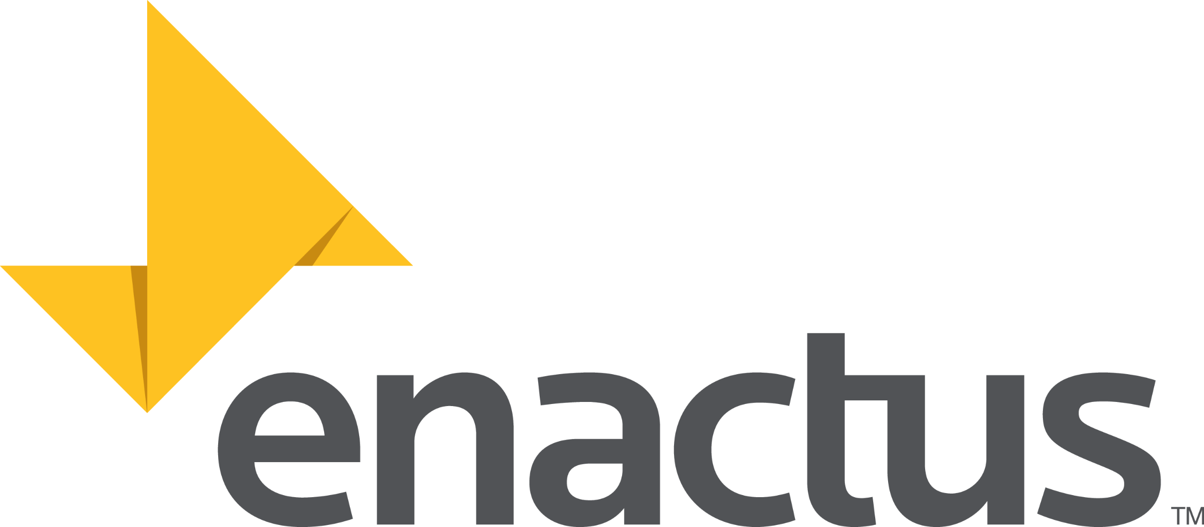 Enactus World Cup 2021
