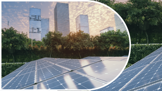 The role of investors in enabling the transition to net zero