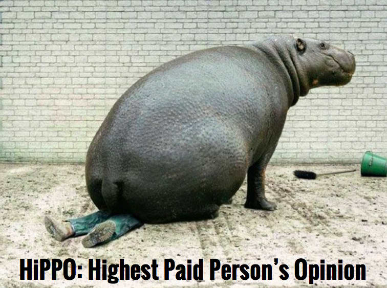 The HiPPO effect | Black Swan Farming