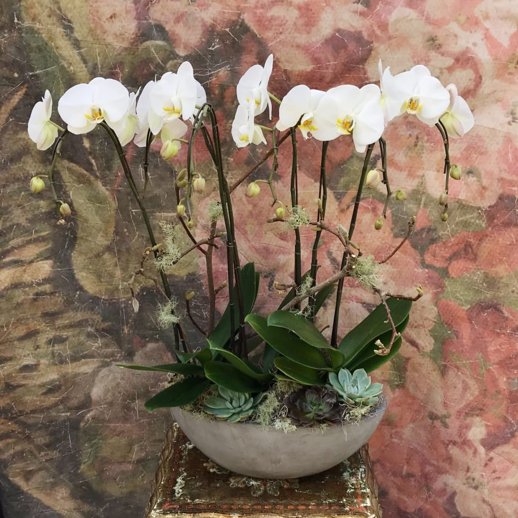 Seattle Florist | Flower Delivery by Maxine's Floral & Gift