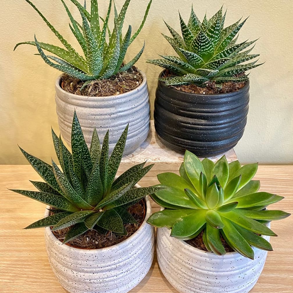 Brooklyn Florist | Flower Delivery by Floral Heights, Inc