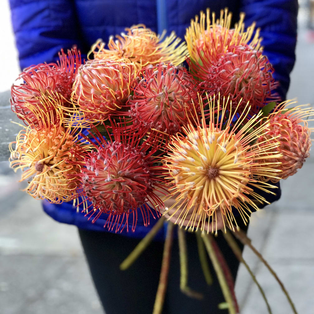 San Francisco Florist | Flower Delivery by Not Just Flowers