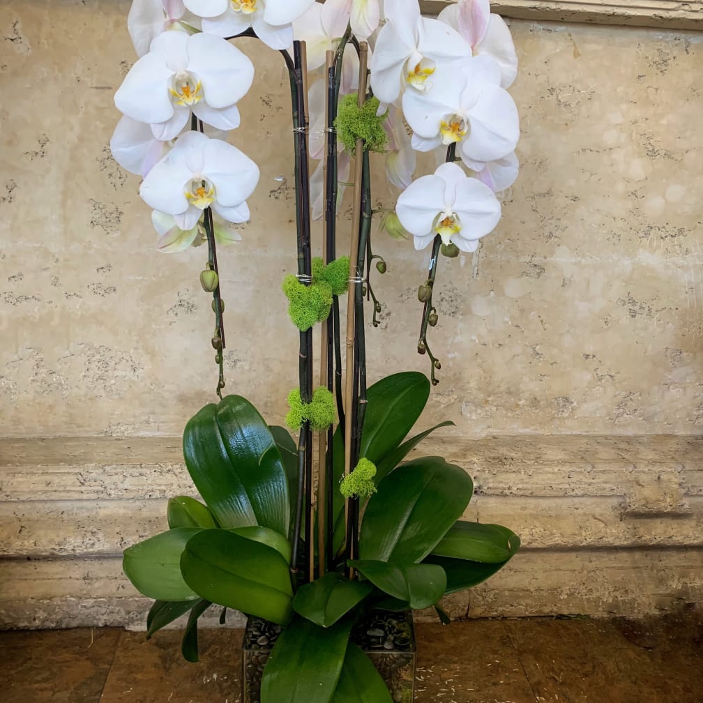 Marina del Rey Florist | Flower Delivery by Heathers Flowers