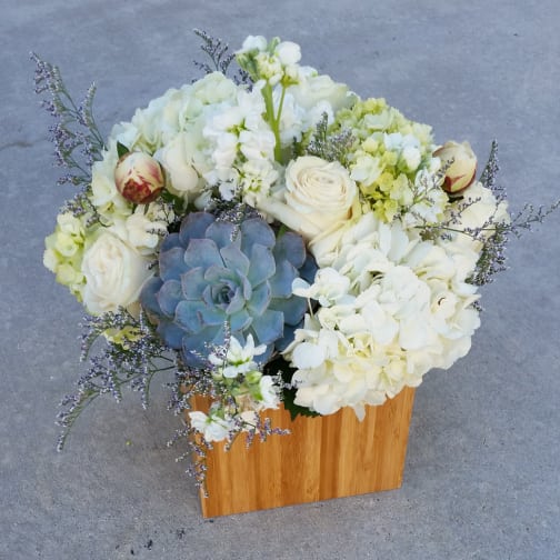 Modern Flower Arrangements Miami | Best Flower Site