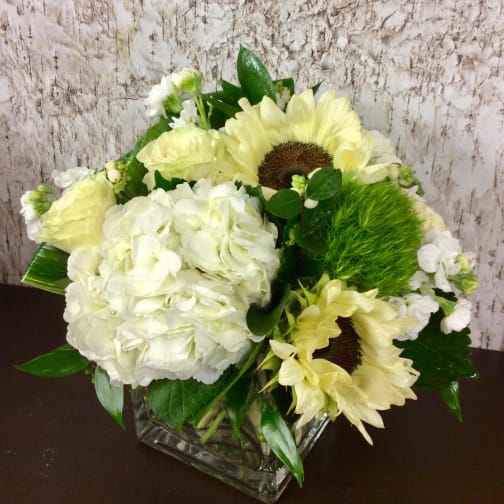 Studio City Florist | Flower Delivery by Dee's Flowers