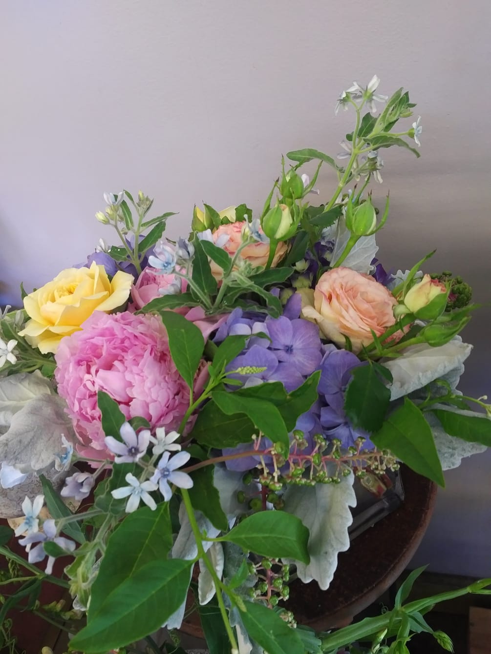 Tweedia by Arjan Flowers