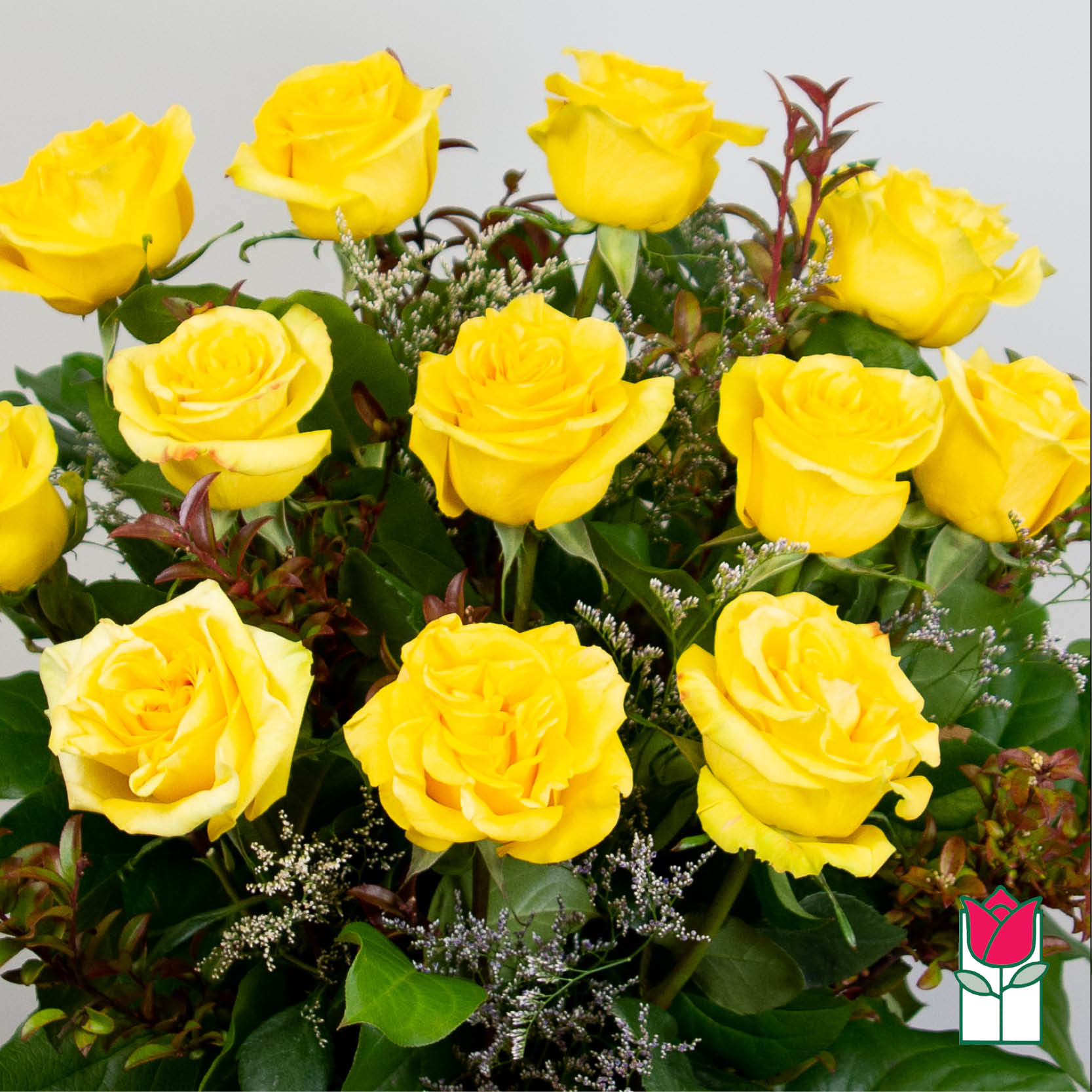 Beretania's Extra Long Stem Yellow Rose Masterpiece (30% Larger flower ...