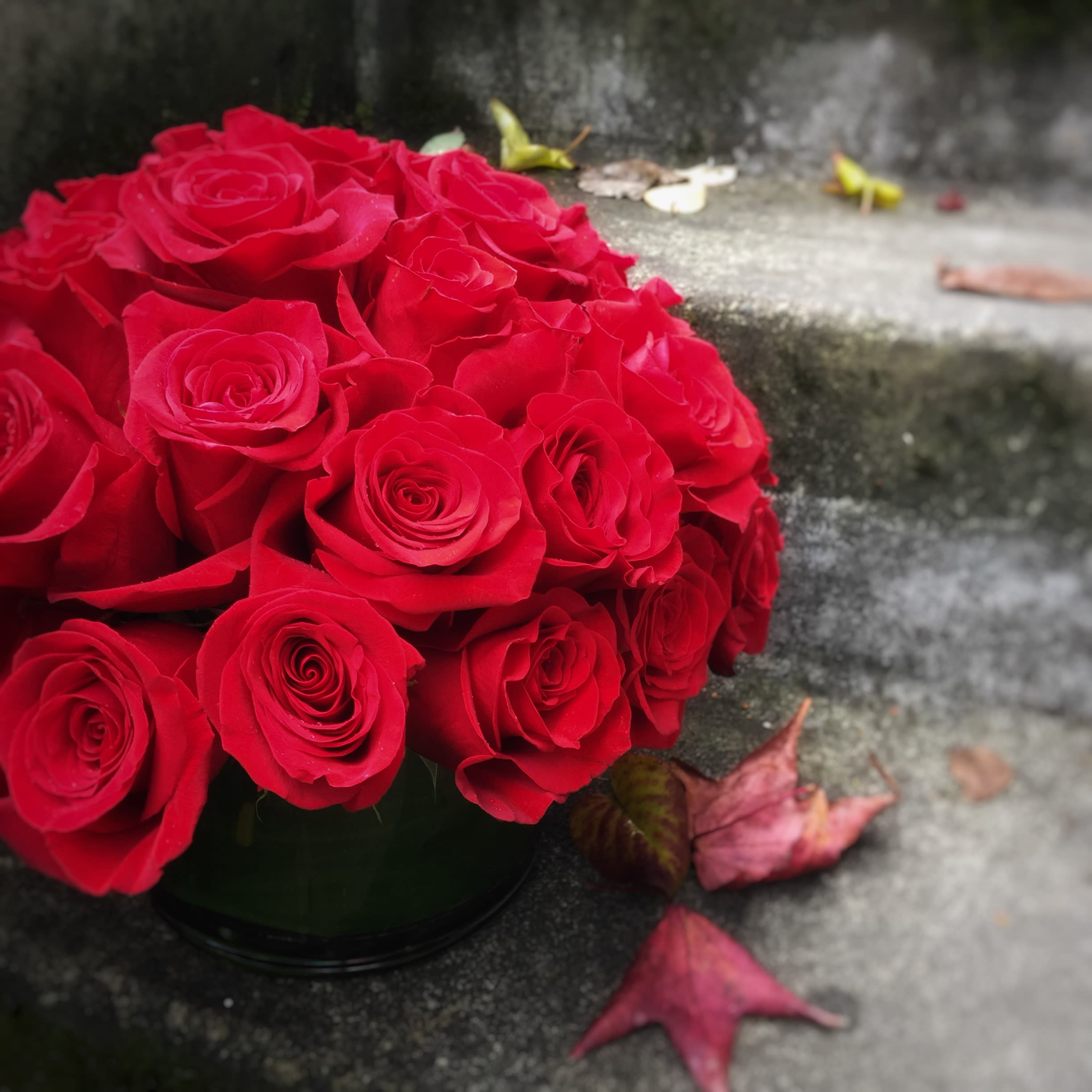Classic Red Roses in Seattle, WA | Fiori Floral Design
