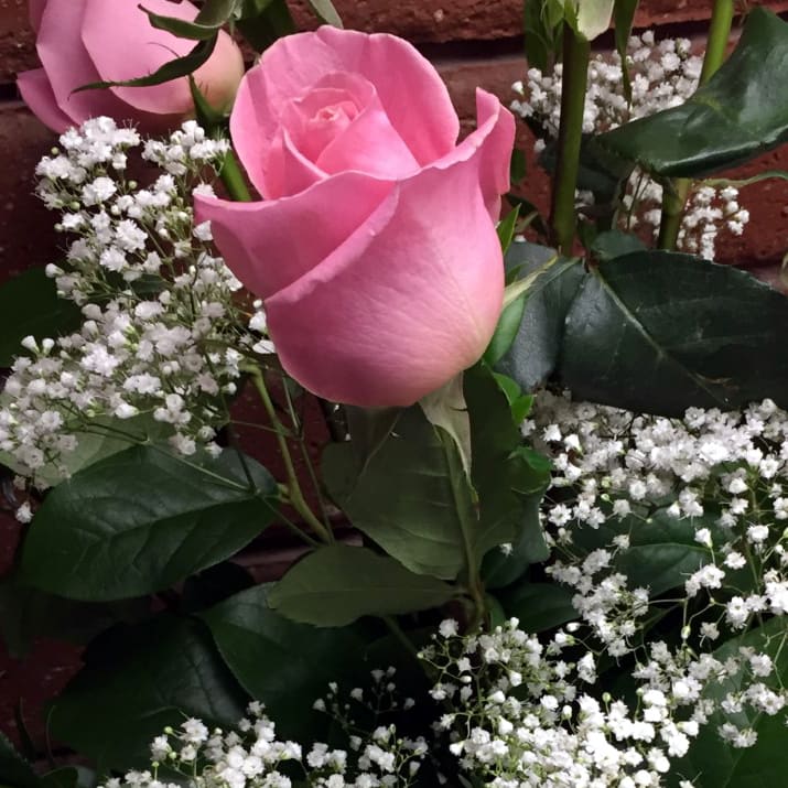 Ecuadorian Long Stem Pink Roses Vase in San Diego, CA | House of Stemms
