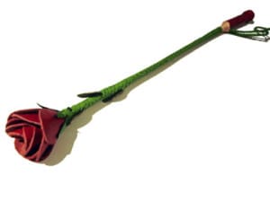 Rose Whip in New Orleans, LA | flora savage