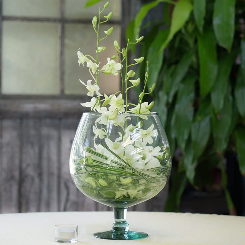 Floating Orchids Supreme in Franklinville, NJ | Triple Oaks Nursery ...