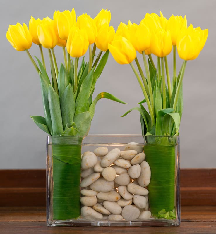 MODERN DUTCH TULIPS in Culver City, CA | Sada's Flowers