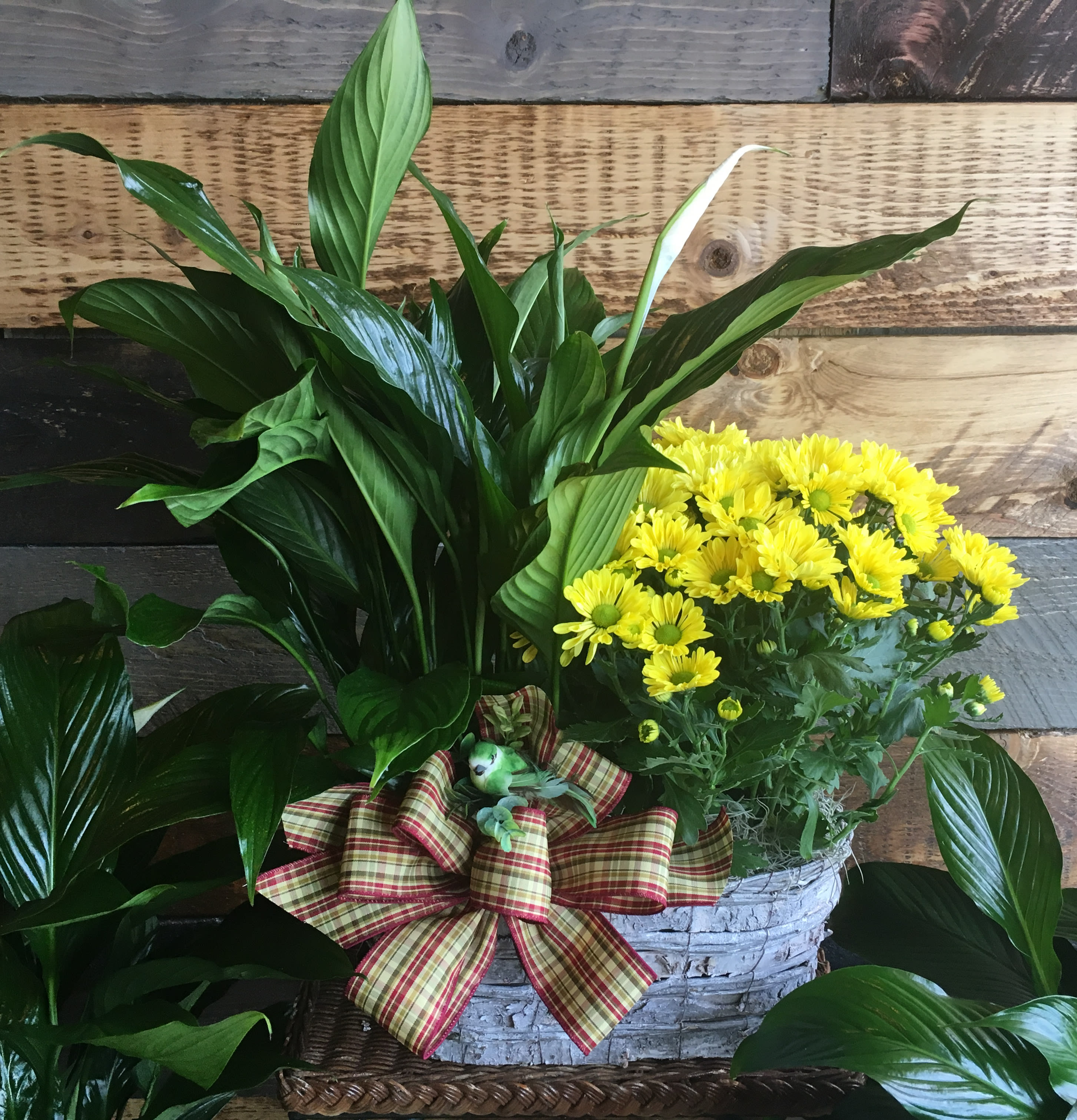 Double Plant European Garden in Ogden, UT | The Posy Place