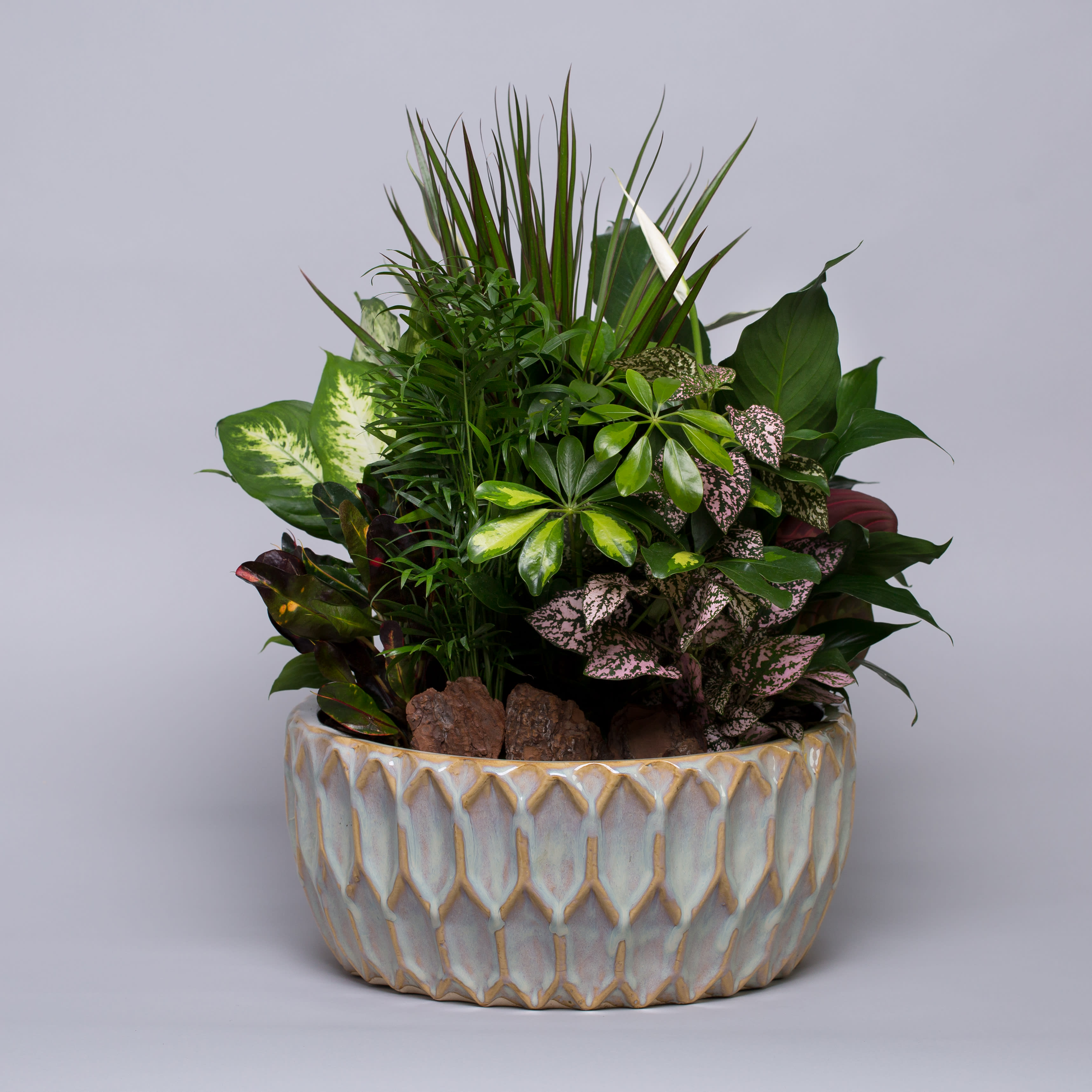 Decorative Dish Garden In North Haledon Nj Anna Rose Floral And Event Design