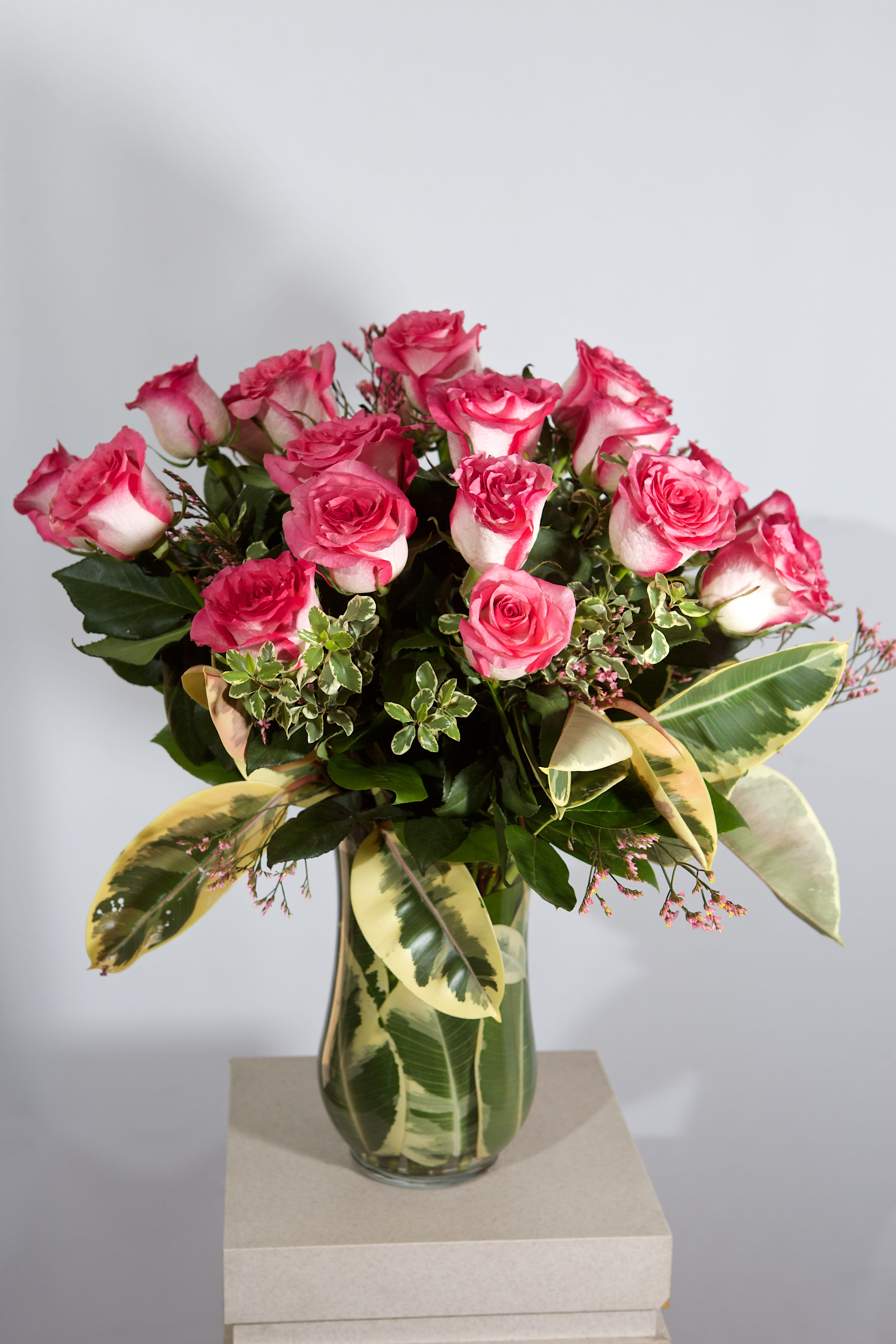 The Variegated Rose in El Cajon, CA | Wild Orchid Florist