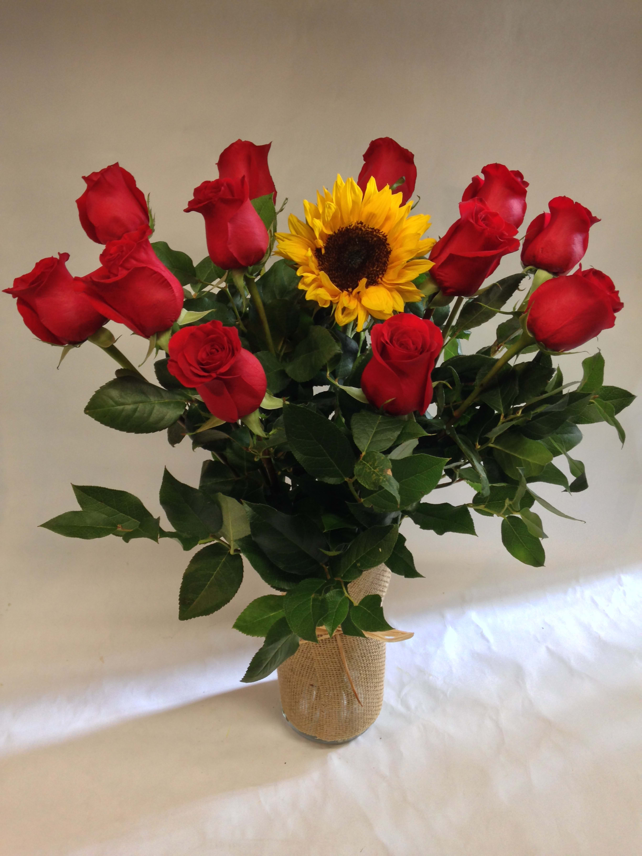 Sunshine in a Field of Roses in San Francisco, CA | Flowers of the Valley