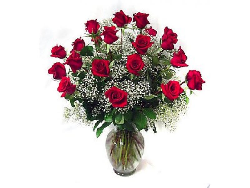 Two Dozen Long Stem Red Roses in Fort Myers, FL | Ruth Messmer Florist