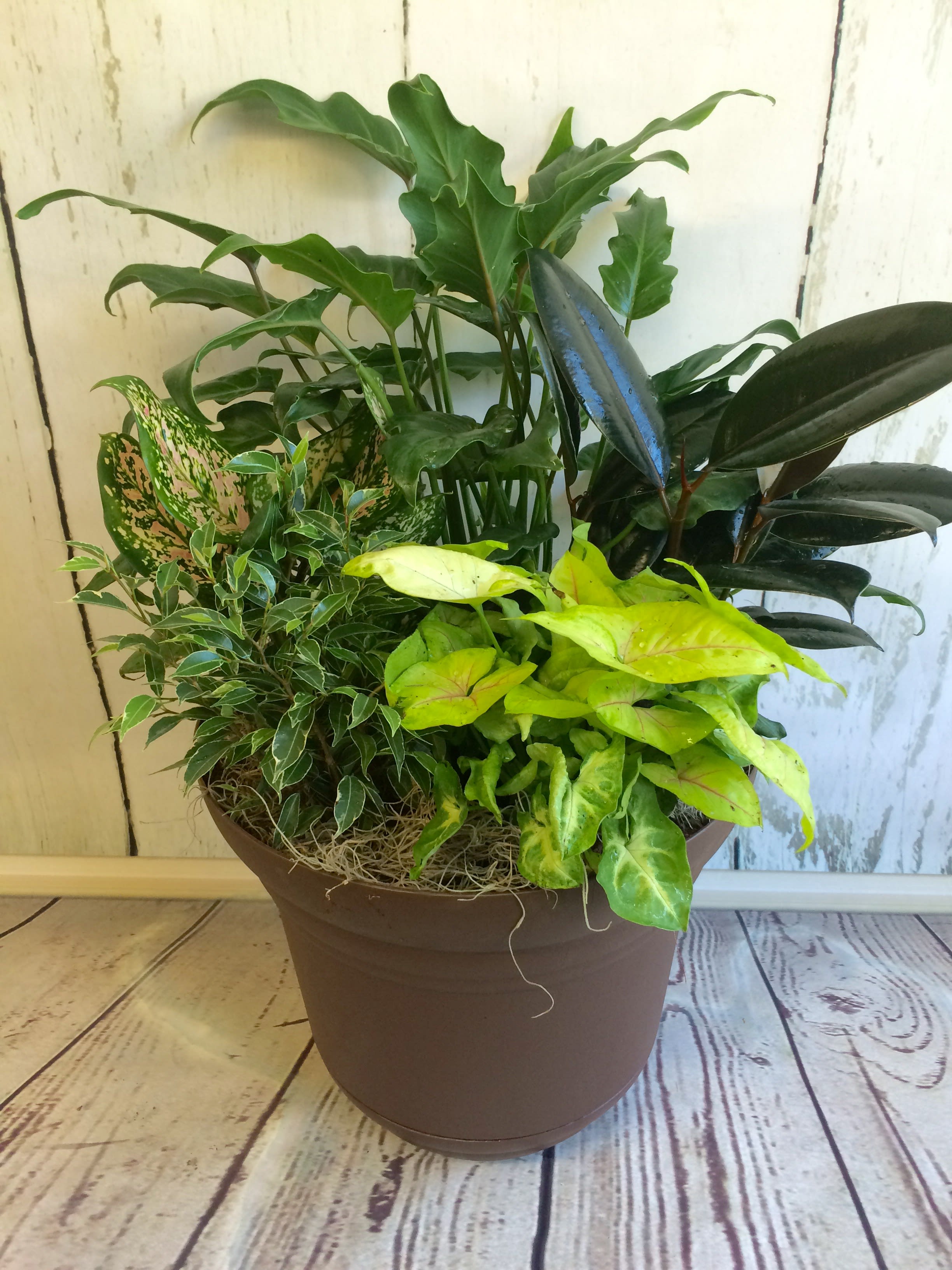 Welcome Home Planter in Saint Charles, MO | Parkview Gardens Florist ...