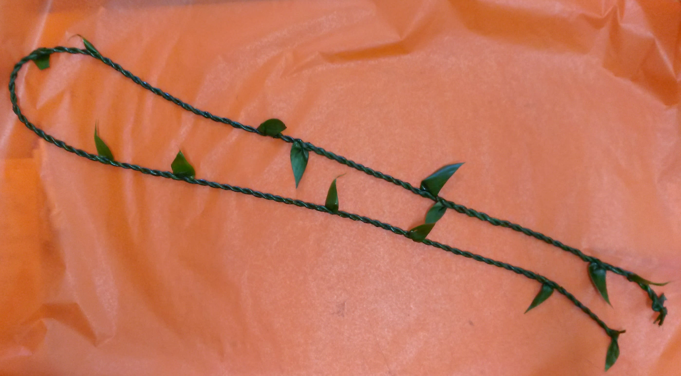 Ti Leaf Lei: A Symbol of Hawaiian Culture | Paraiso Island