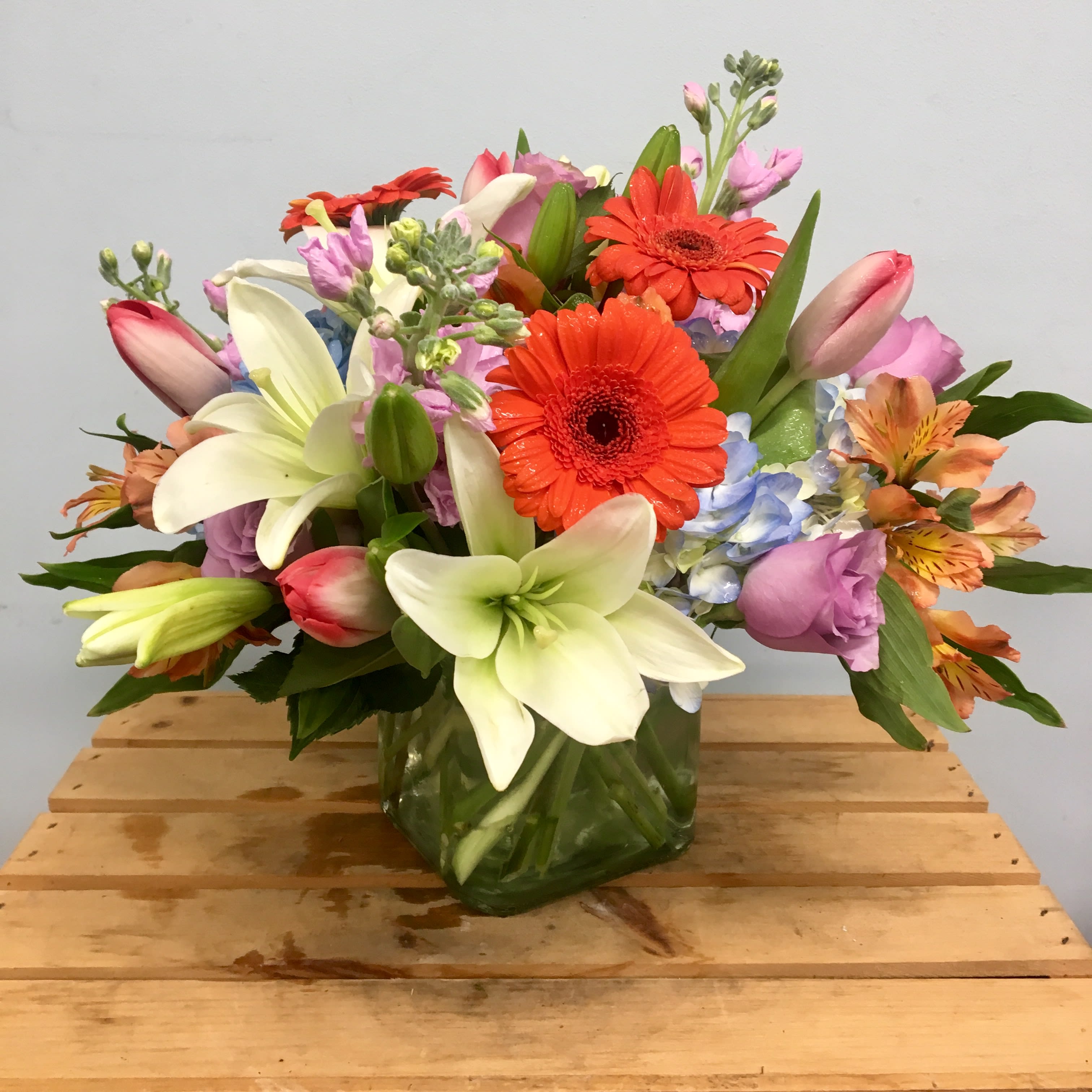 Spring Cube in Cambridge, MA | Coady Florist