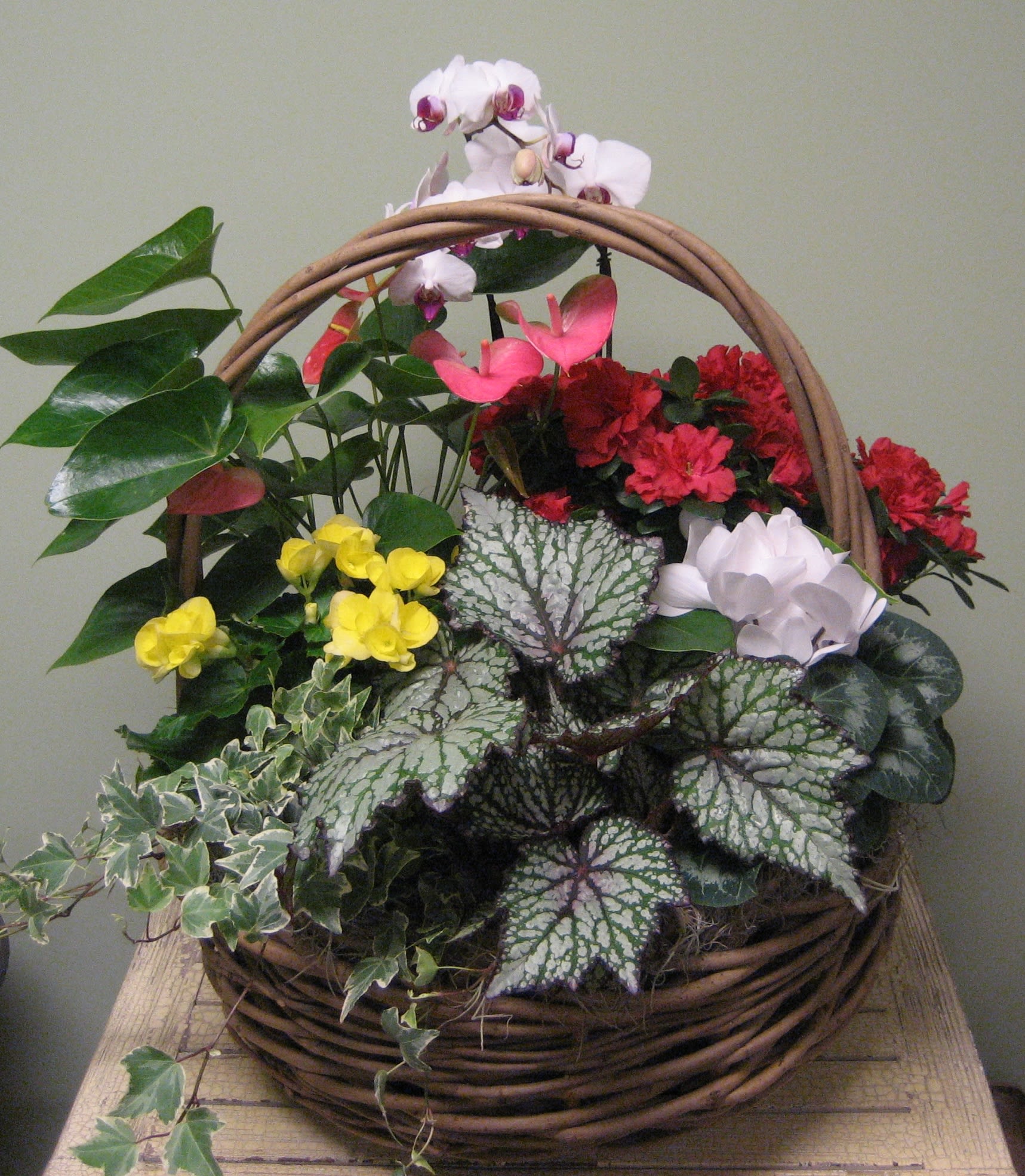 Glorious Garden GH010 in North Wales, PA | The Rhoads Garden