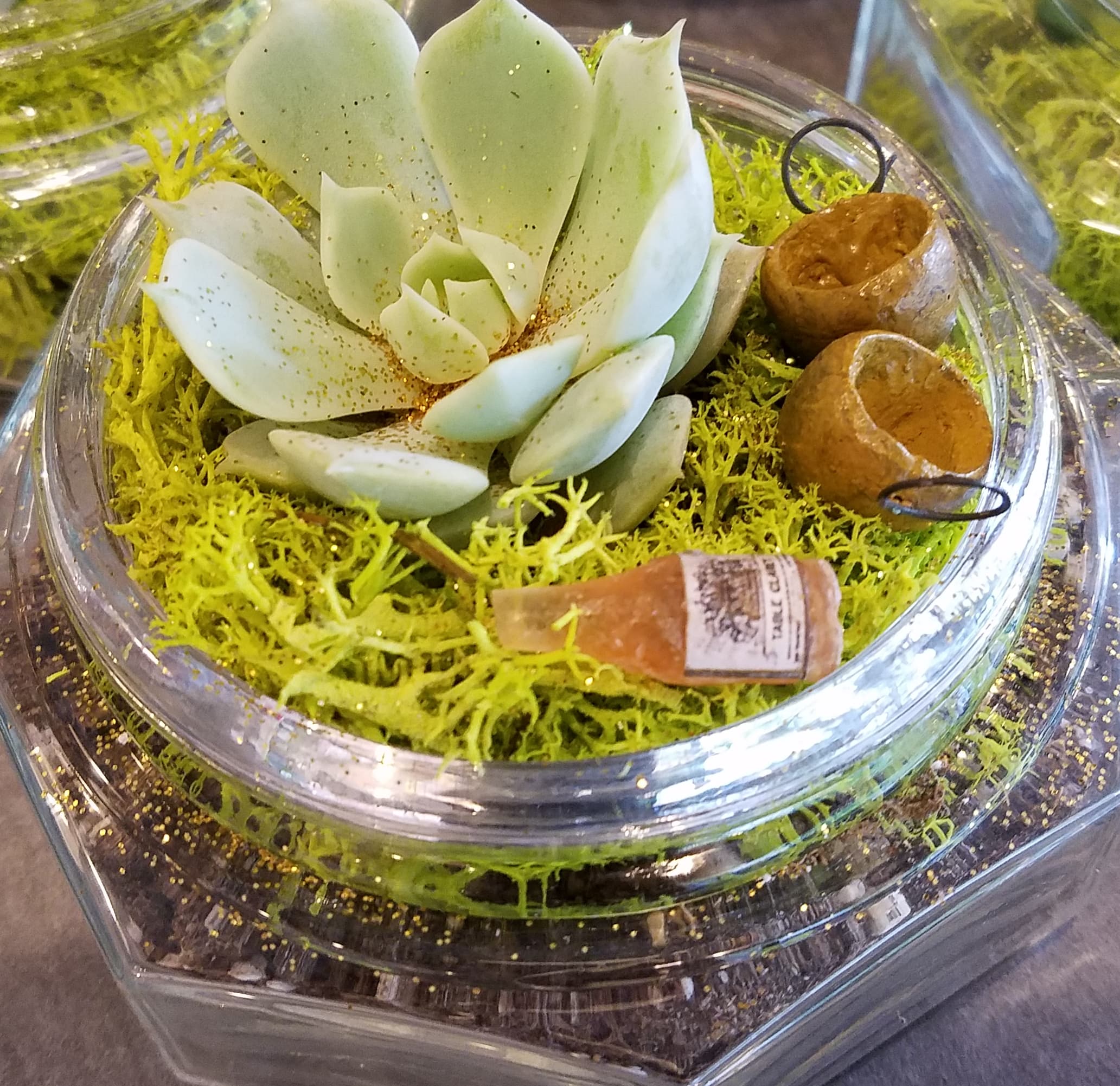 Fairy Dish in Portland, OR | Market Street Floral