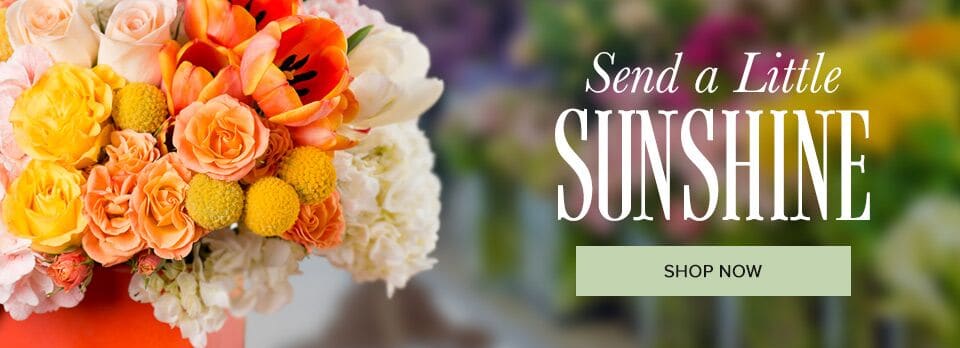 Arlington Florist | Flower Delivery by Cody Floral Designs