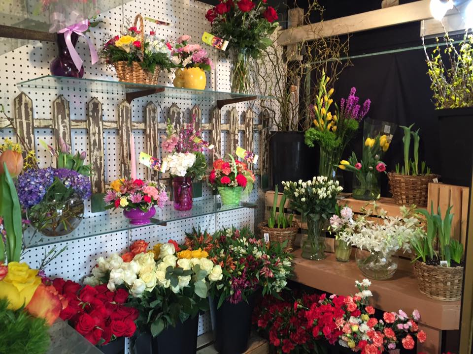 Visit the Shop | A Precious Petals Florist
