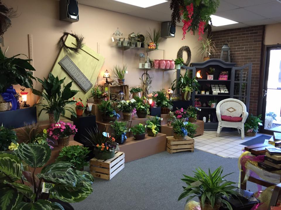 Visit the Shop | A Precious Petals Florist