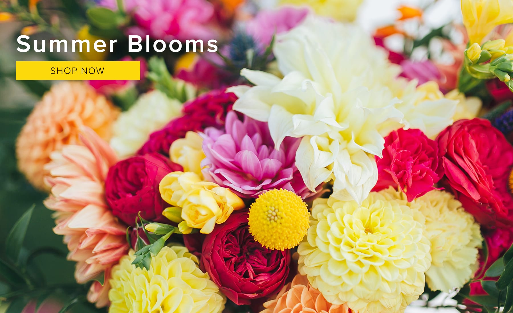 Ten Pennies Florist: Philadelphia Flower Delivery
