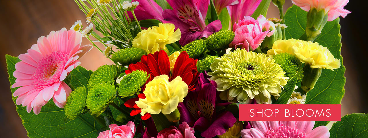 Blue Ridge Florist | Flower Delivery by Floral Creations