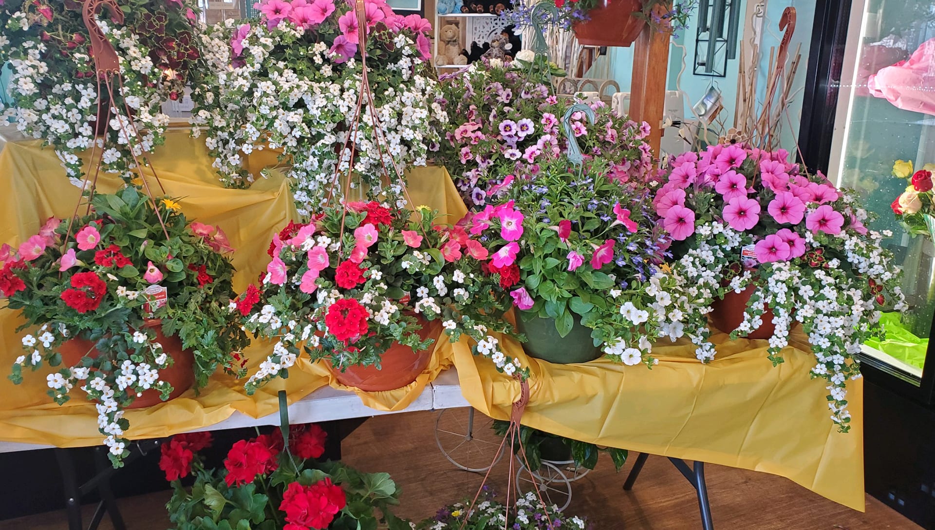 North Andover Florist | Flower Delivery by Sutton Pond Flowers & Gifts