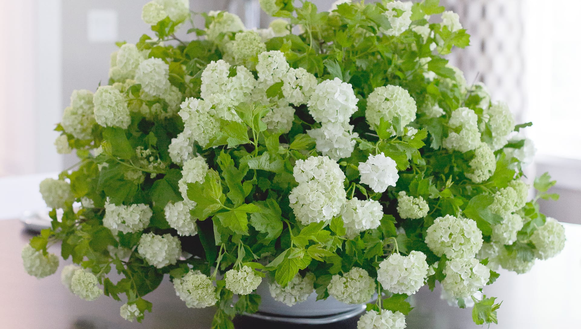 Highlands Florist | Flower Delivery by In the Garden