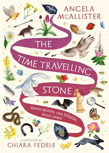 The Time Travelling Stone: Seven stories, one hillside, 6000 years: The ...