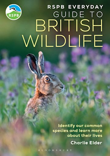 The RSPB Everyday Guide to British Wildlife: Identify our common ...