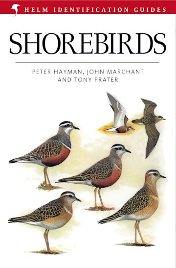 Shorebirds: : Helm Identification Guides John Marchant Helm