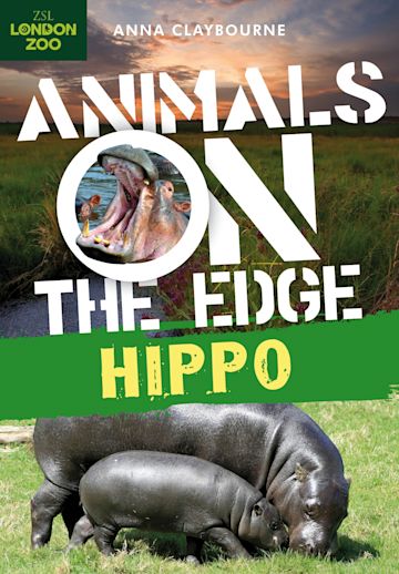 Hippo: : Animals on the Edge Anna Claybourne Bloomsbury Children's Books