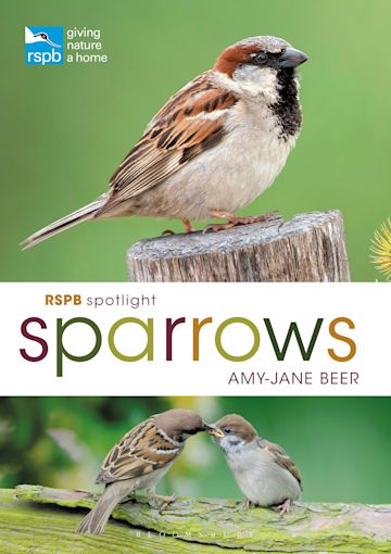 RSPB Spotlight Sparrows: : RSPB Amy-Jane Beer Bloomsbury Wildlife
