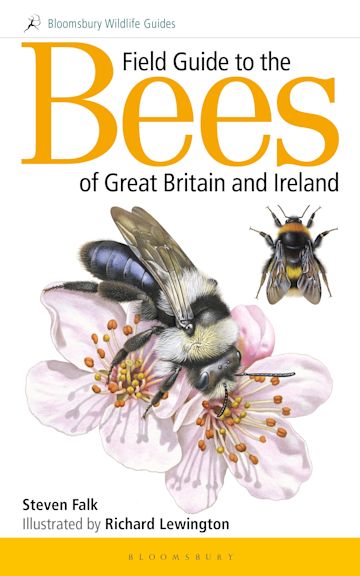 Field Guide to the Bees of Great Britain and Ireland: : Bloomsbury ...
