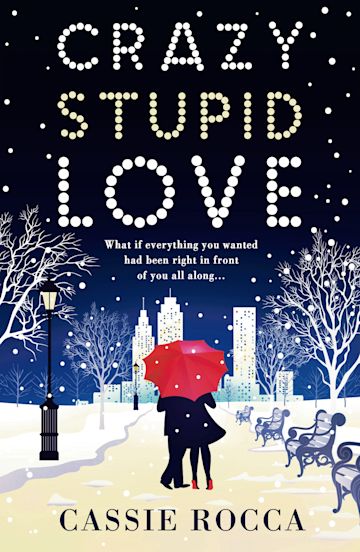 Crazy Stupid Love: A fun, feel-good romance: Blame It On New York ...