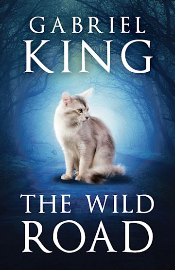 The Wild Road: : Wild Road Gabriel King Head of Zeus