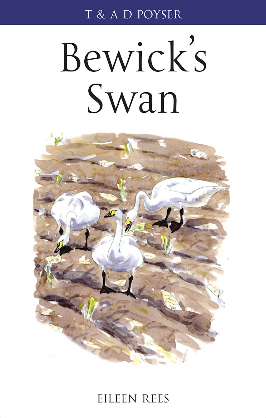 Bewick's Swan: : Poyser Monographs Eileen Rees T & AD Poyser - Bloomsbury