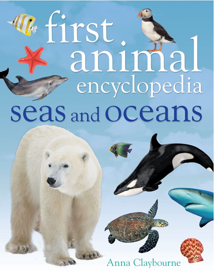 First Animal Encyclopedia Seas and Oceans: : Anna Claybourne: A&C Black ...