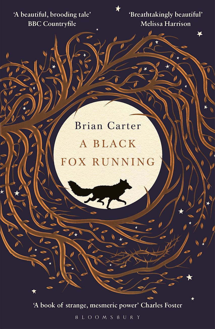 A Black Fox Running: : Brian Carter: Bloomsbury Publishing - Bloomsbury